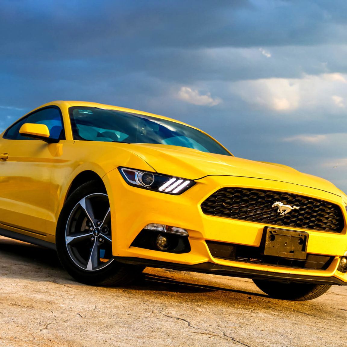 Autos aus USA importieren - US Car Importe - REYER